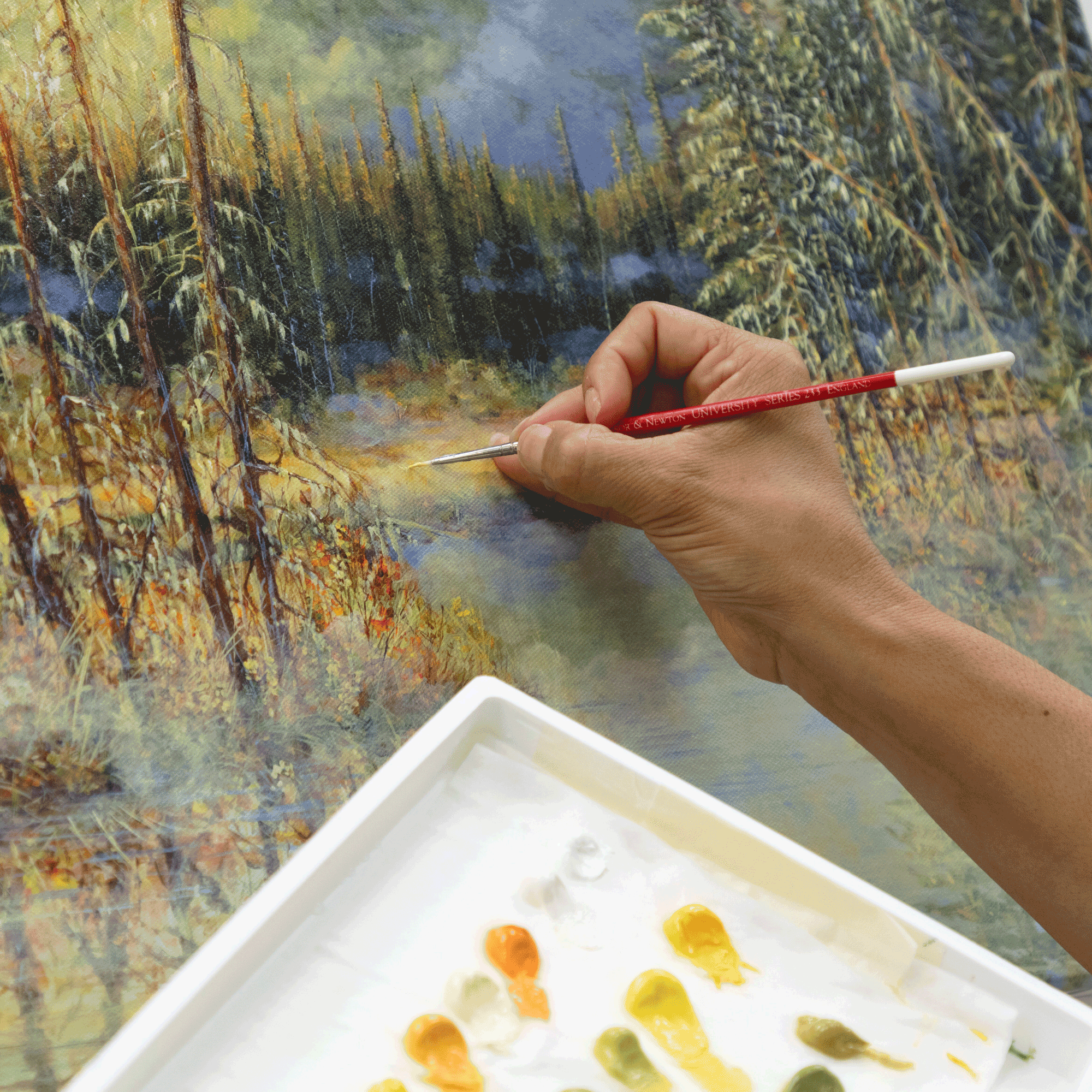 Shop Limited Edition Art From Wild Wings