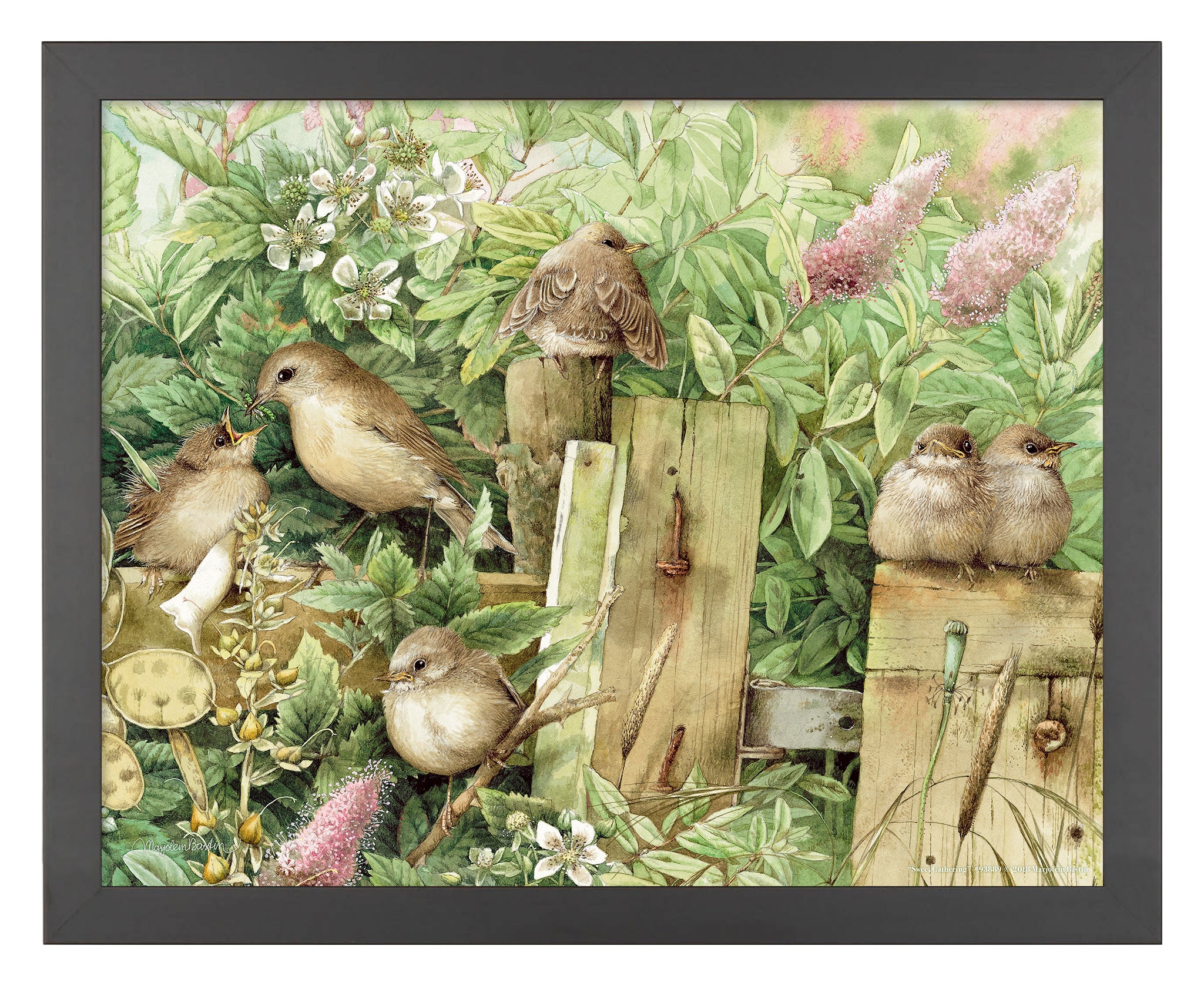 Sweet Gathering - Art Prints Art Prints from Wild Wings