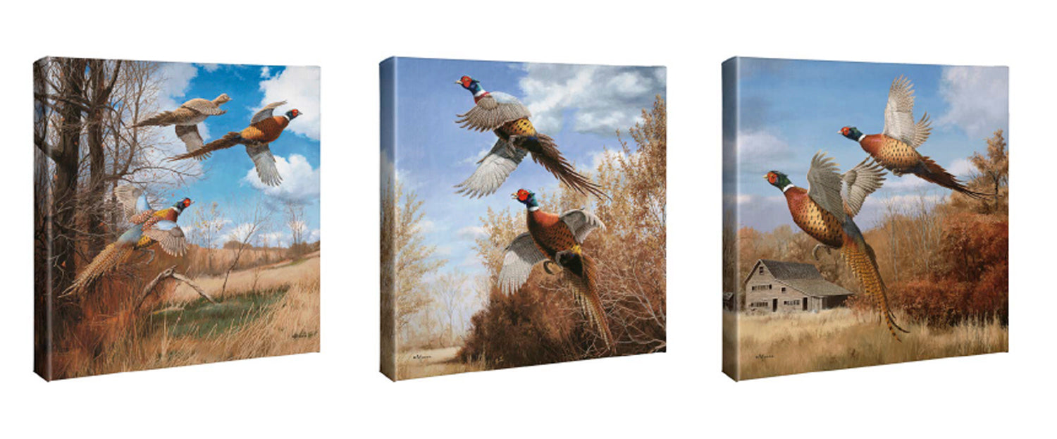 Pheasants in the Fall - 14" x 14" Gallery Wrapped Canvas (Set of 3 ...