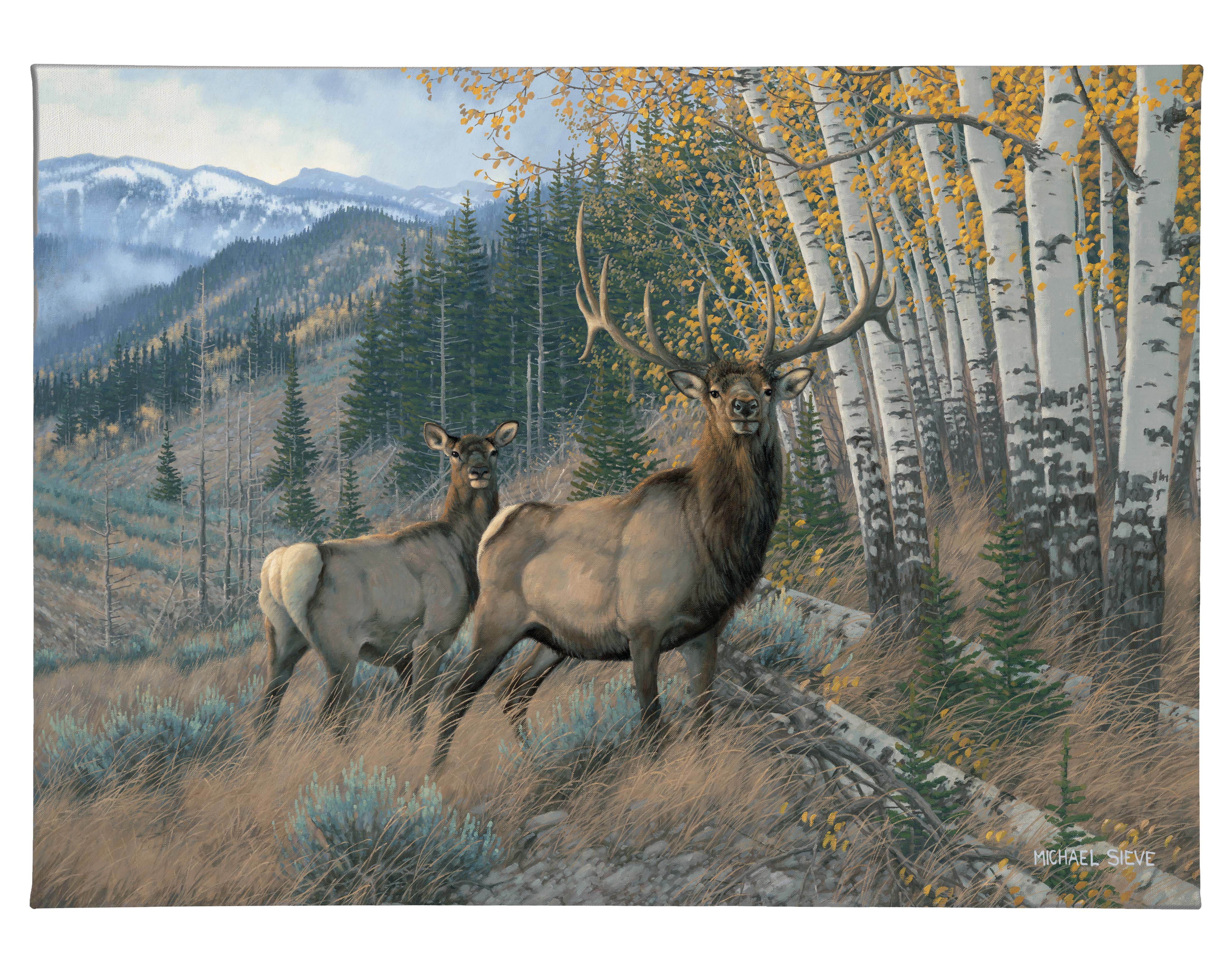 Eastern Slope - Elk - 13" x 18" Gallery Wrapped Canvas Gallery Wrapped ...