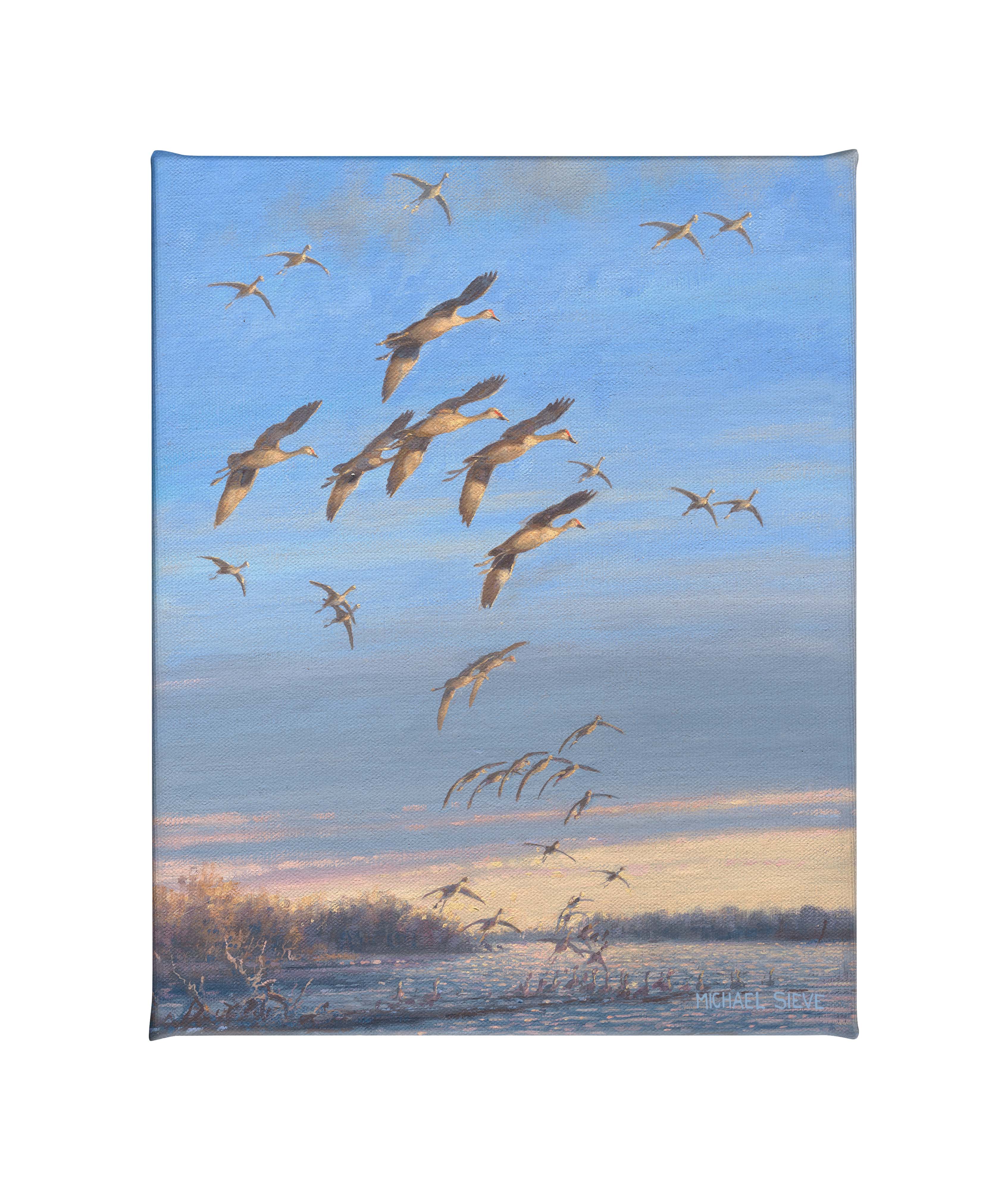 Sandhill Crane Study - 16" x 20.5" Gallery Wrapped Canvas Gallery ...