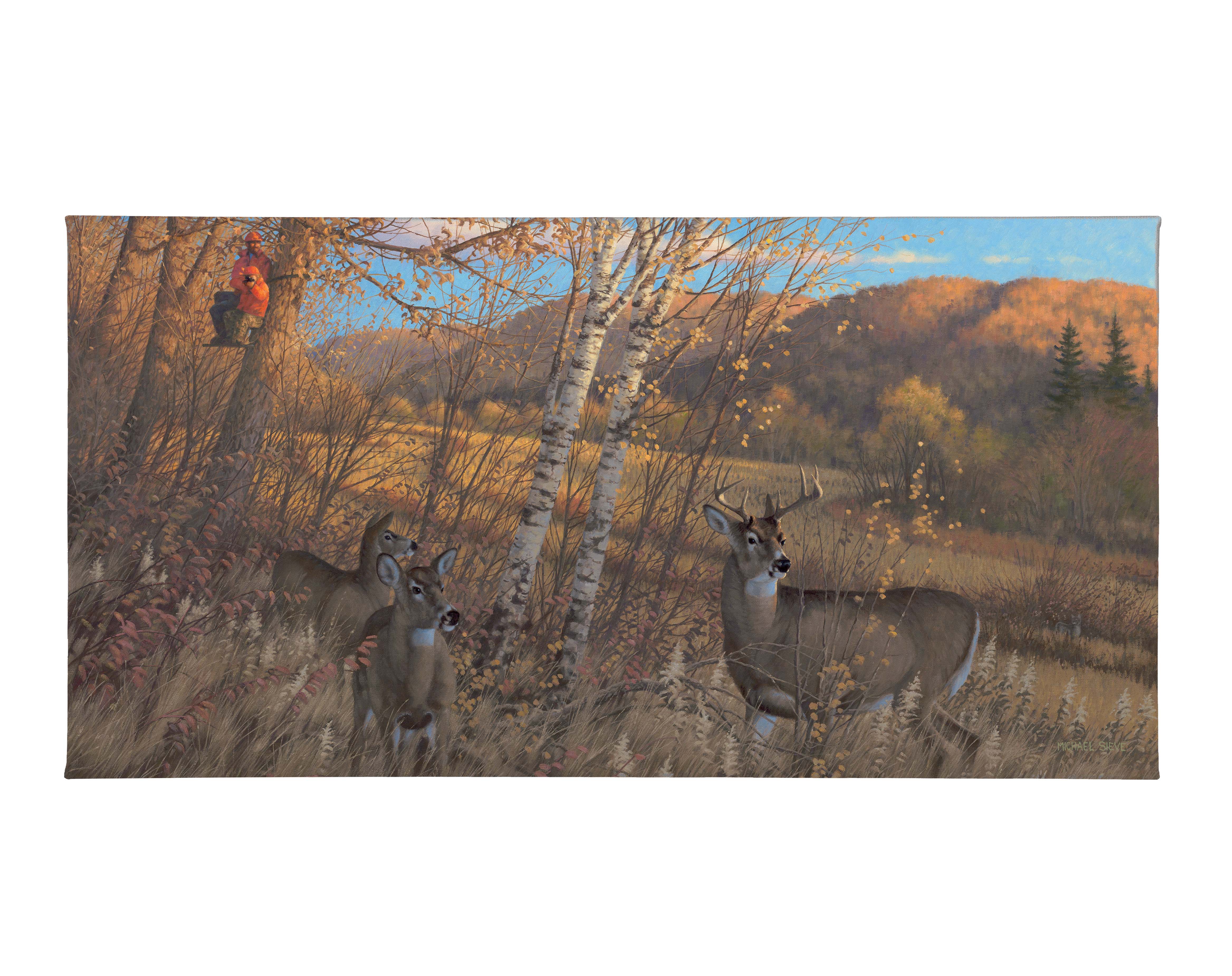 Zone 3 Youth Season Deer - 16" x 31" Gallery Wrapped Canvas – Wild Wings