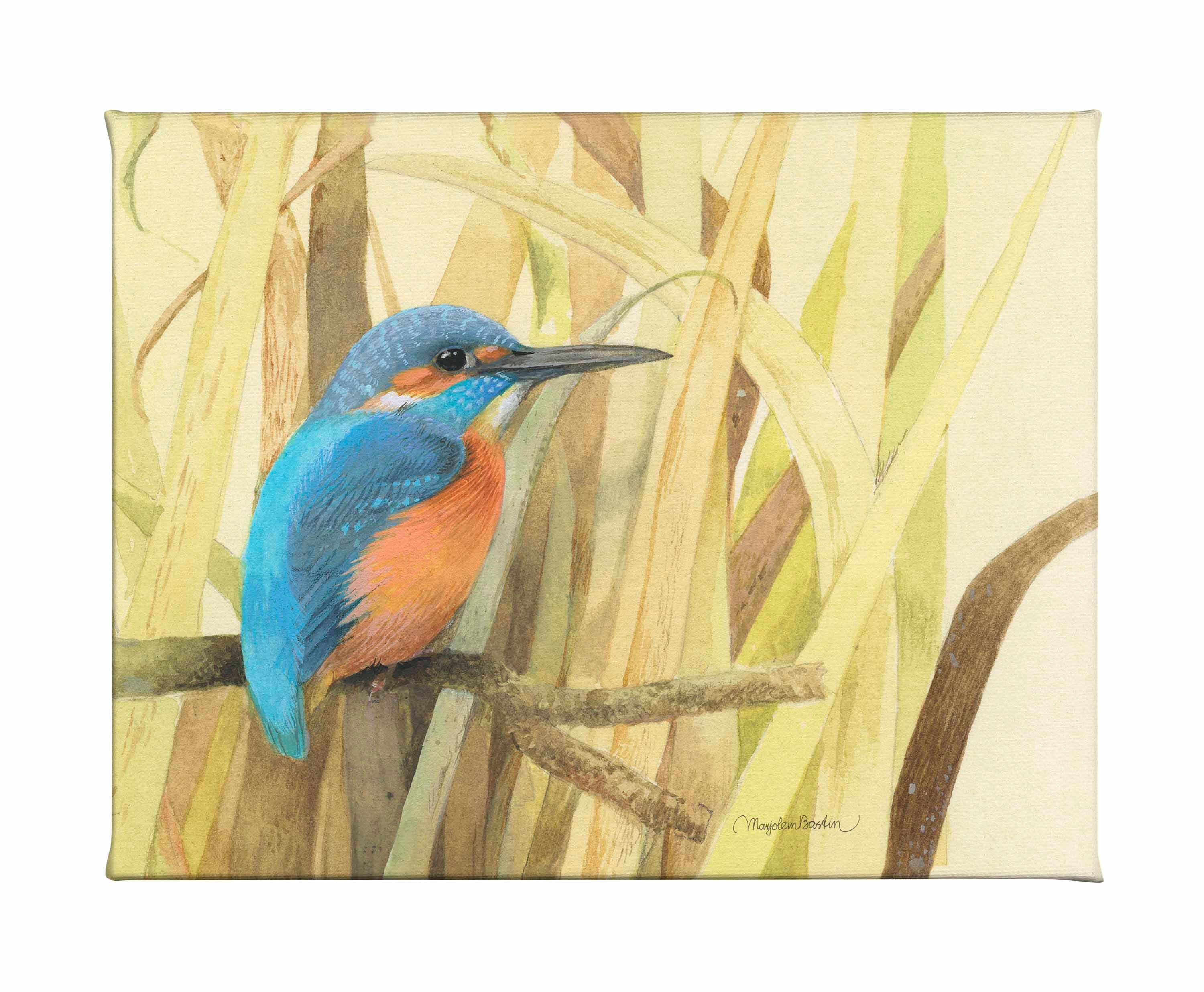 Hiding in the Reeds - Gallery Wrapped Canvas Gallery Wrapped Canvas ...