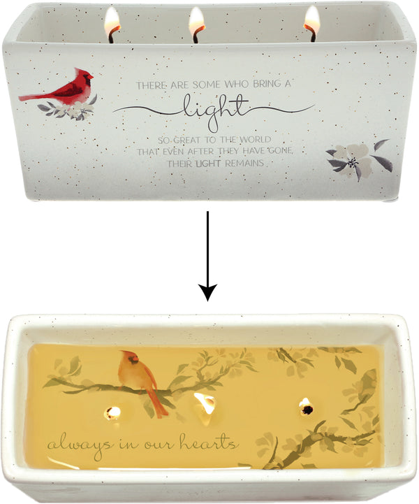 Light Remains - 12 oz - Wax Reveal Triple Wick Candle Candle from Wild ...