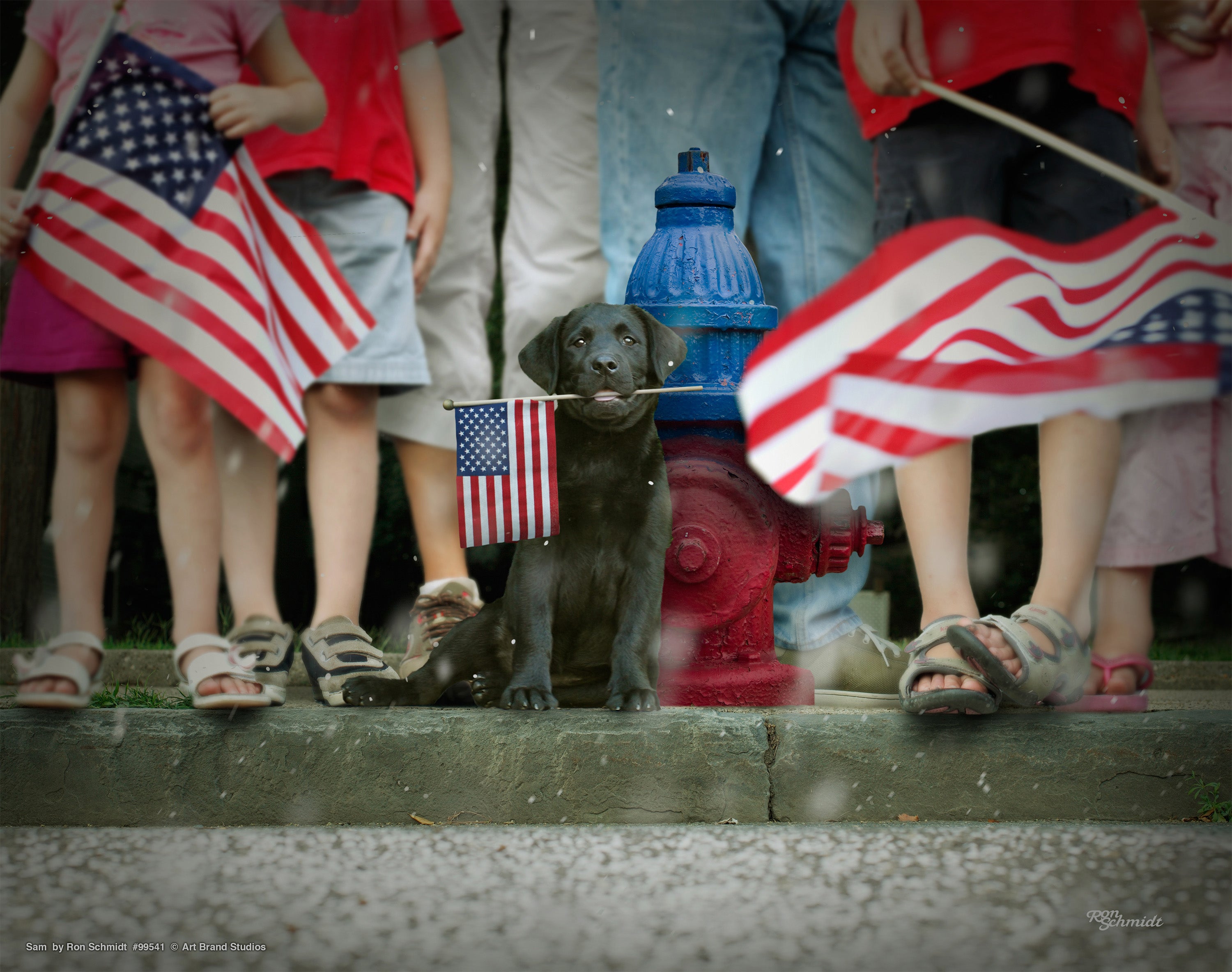 Sam - Art Prints – Wild Wings