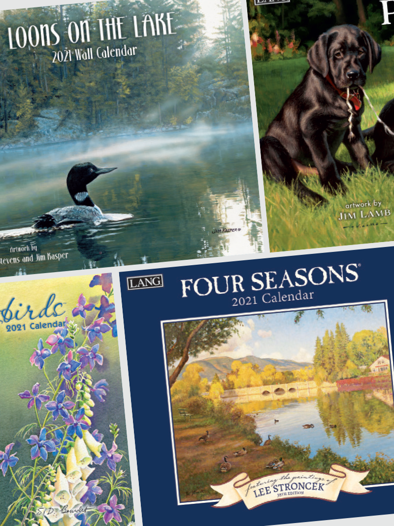 Partner With Wild Wings - Licensing, Wholesale & Business Opportunities