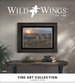 View Our Catalogs – Wild Wings