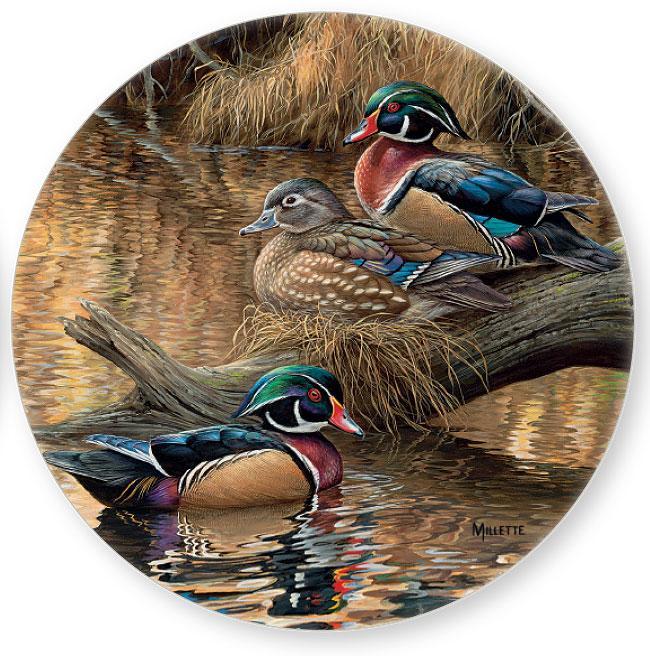Wood Duck Coasters - Coasters Coasters from Wild Wings