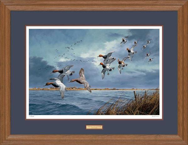 Turbulence Over Delta Marsh—Canvasbacks - Limited Edition Paper
