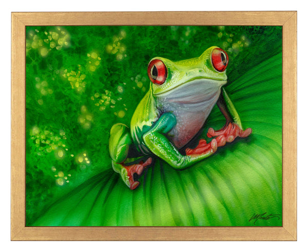 Feeling Froggy - Art Prints - Wild Wings
