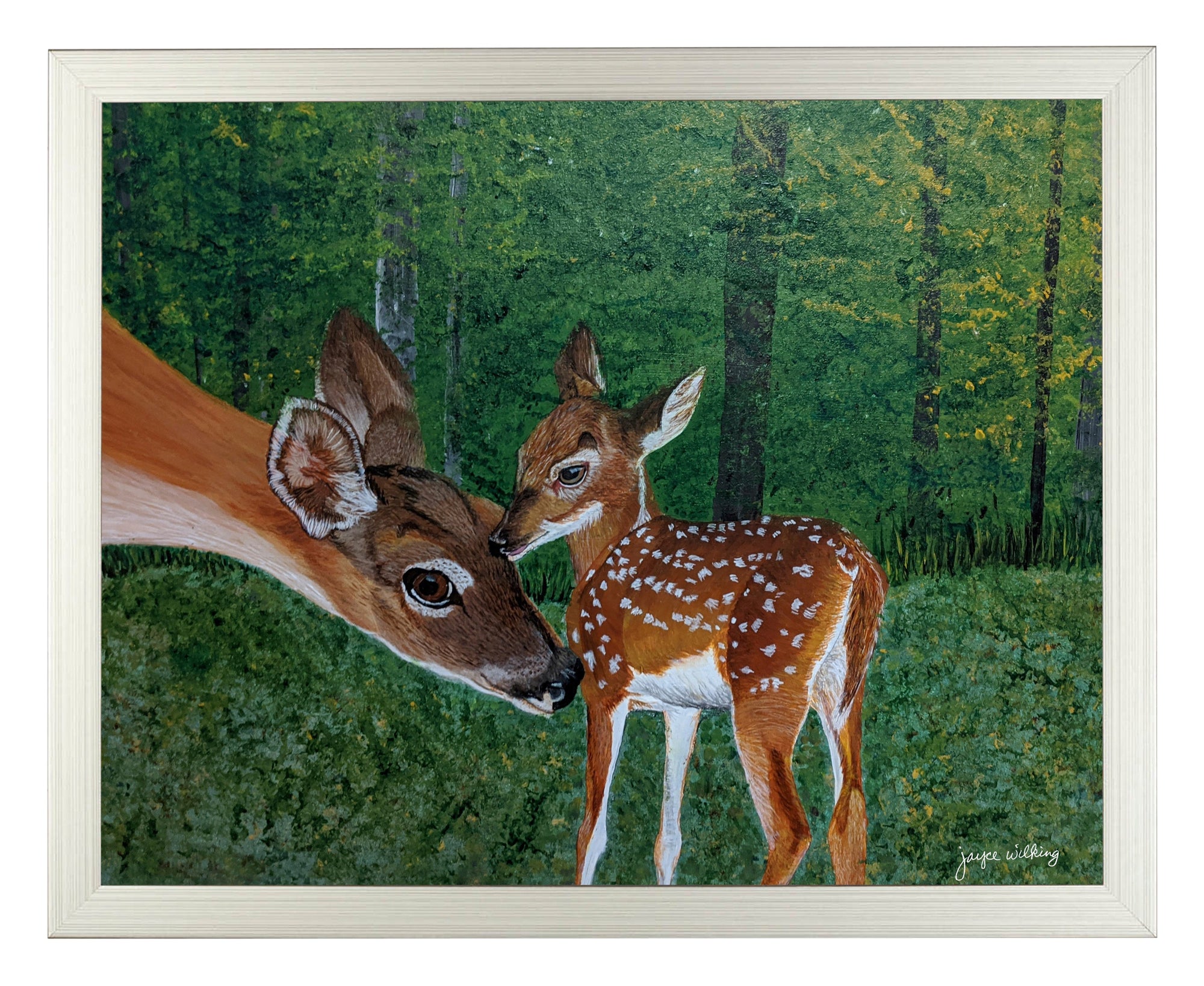 Whitetail Deer Fawn Face