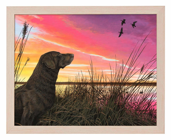 Breaking Cover—Chocolate Lab - Wild Wings