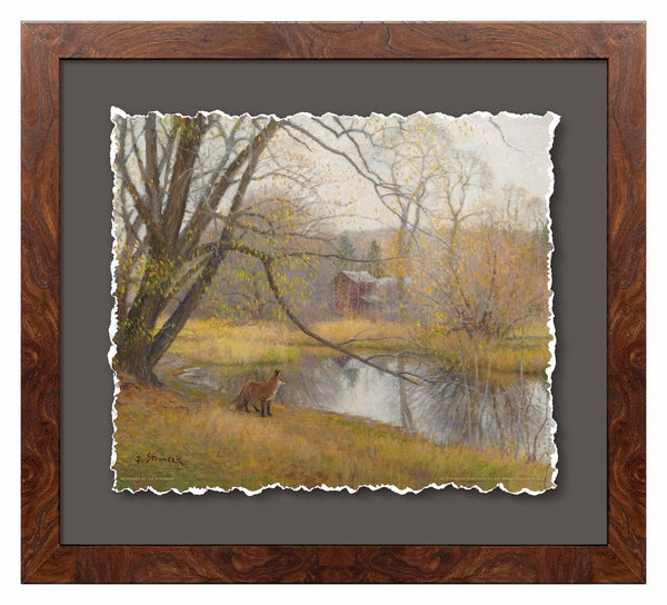 November—Red Fox - Wild Wings